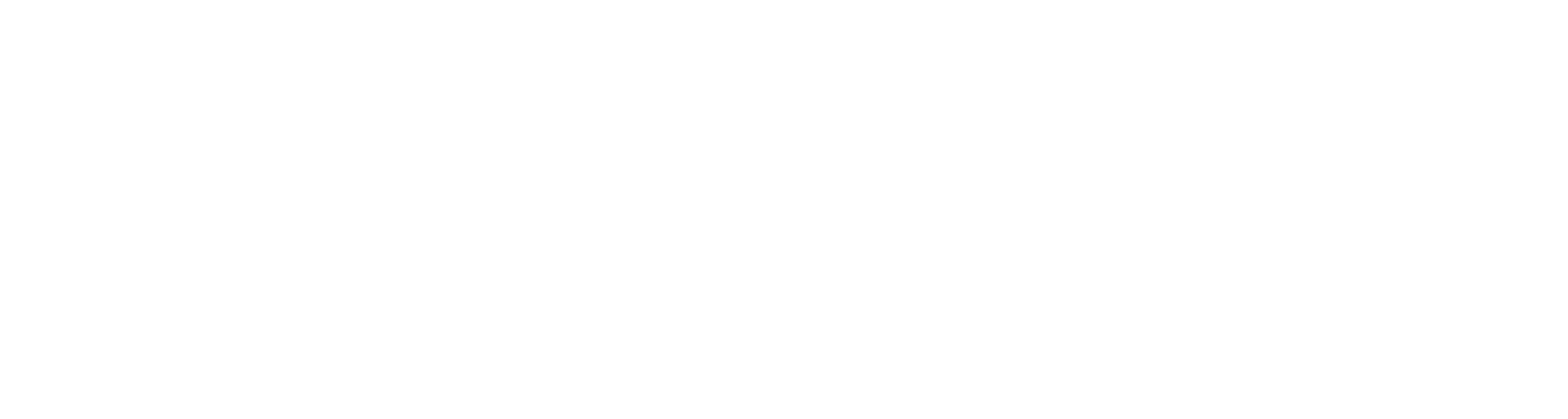 Zain MAX